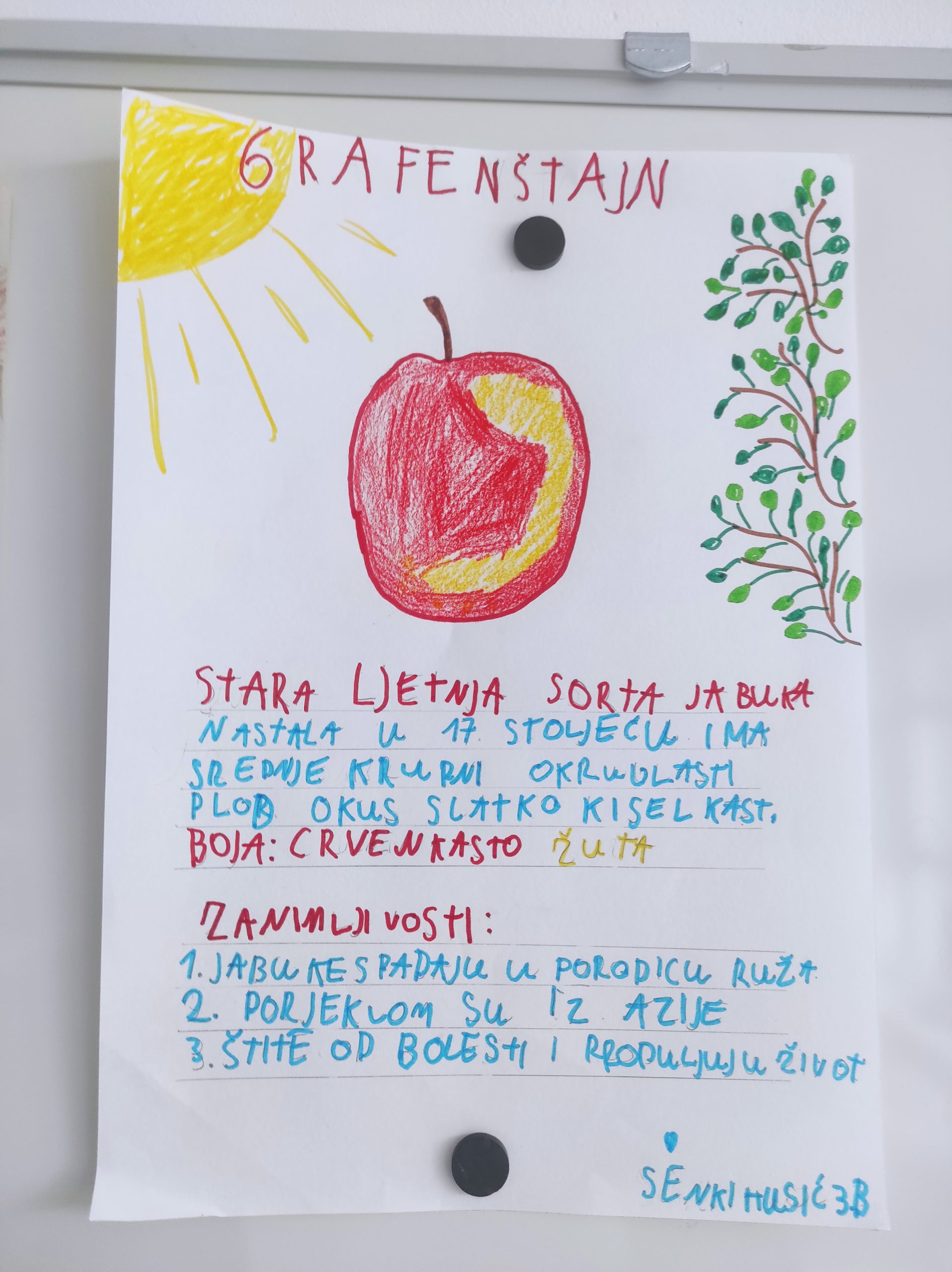 Dan jabuka – OŠ Ivanja Reka